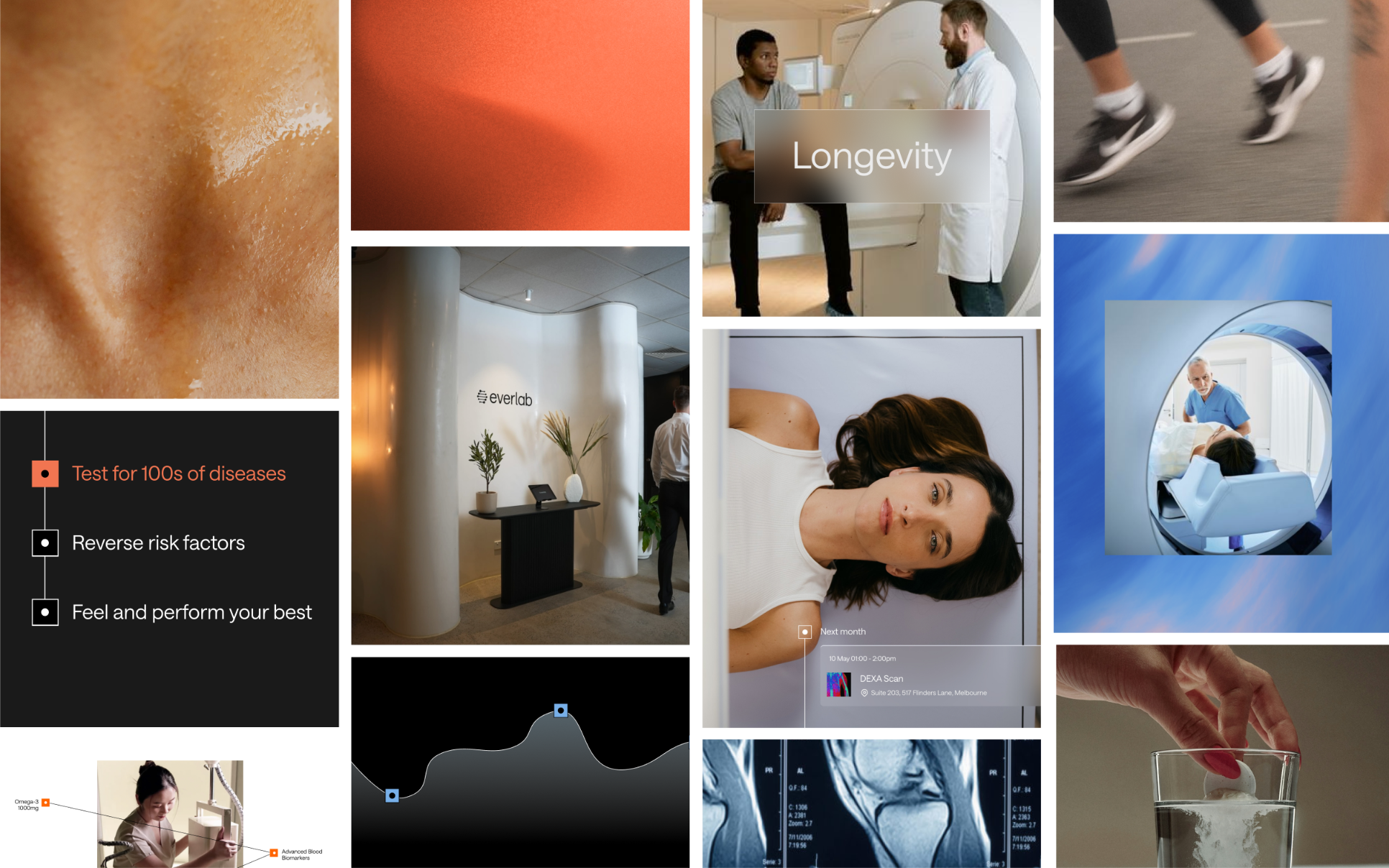 Everlab Longevity Program