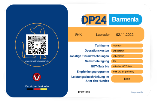 Dogprotect24 - Die Hundekrankenversicherung der Barmenia