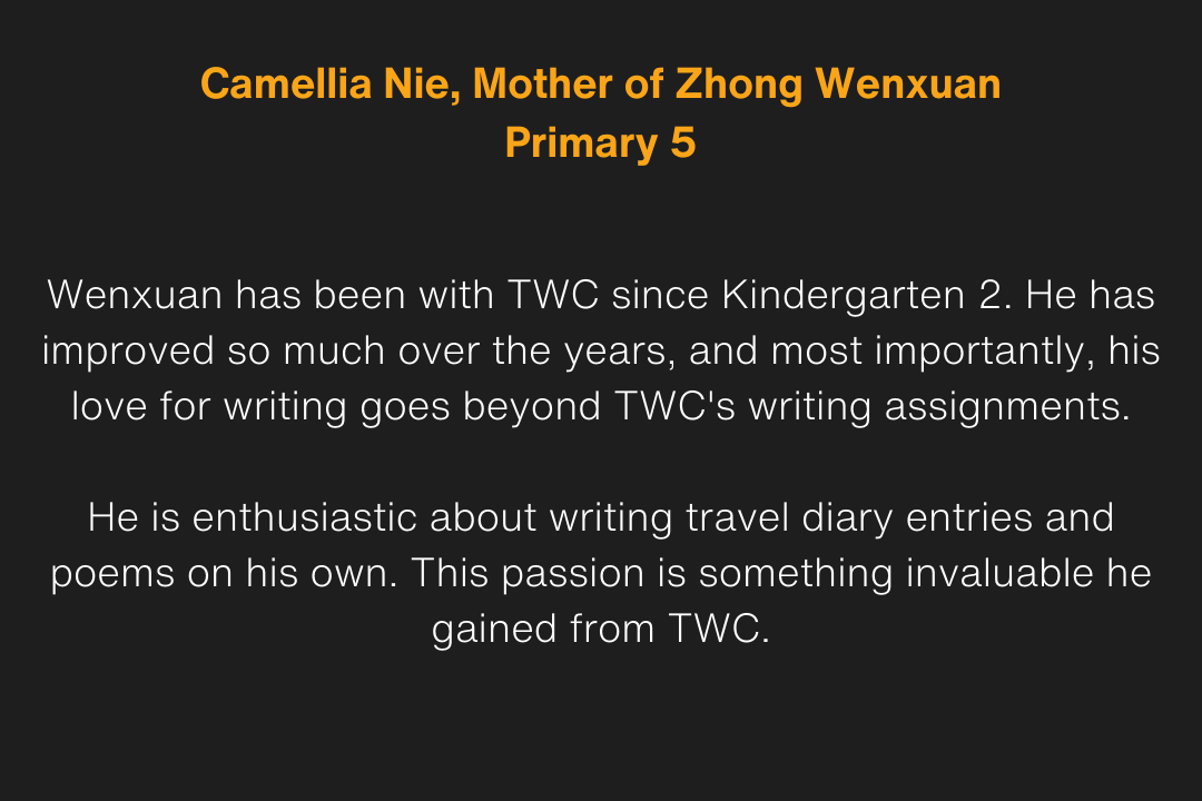 Excel in English and writing with TWC! | The Write Connection