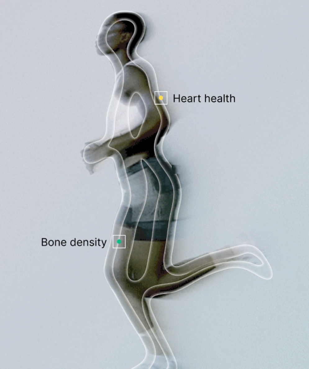 Everlab Longevity Program