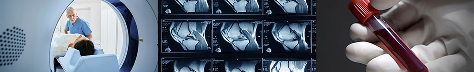 Everlab Longevity Program