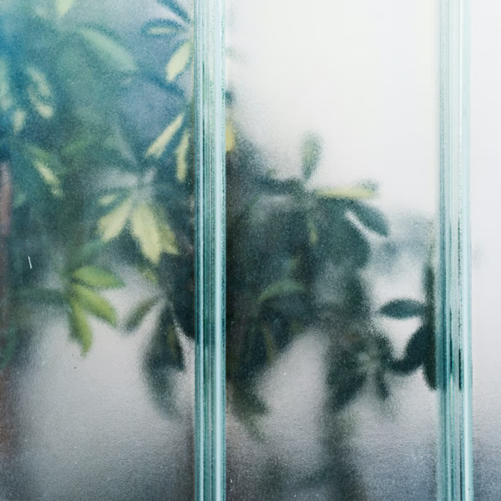 Everlab Longevity Program